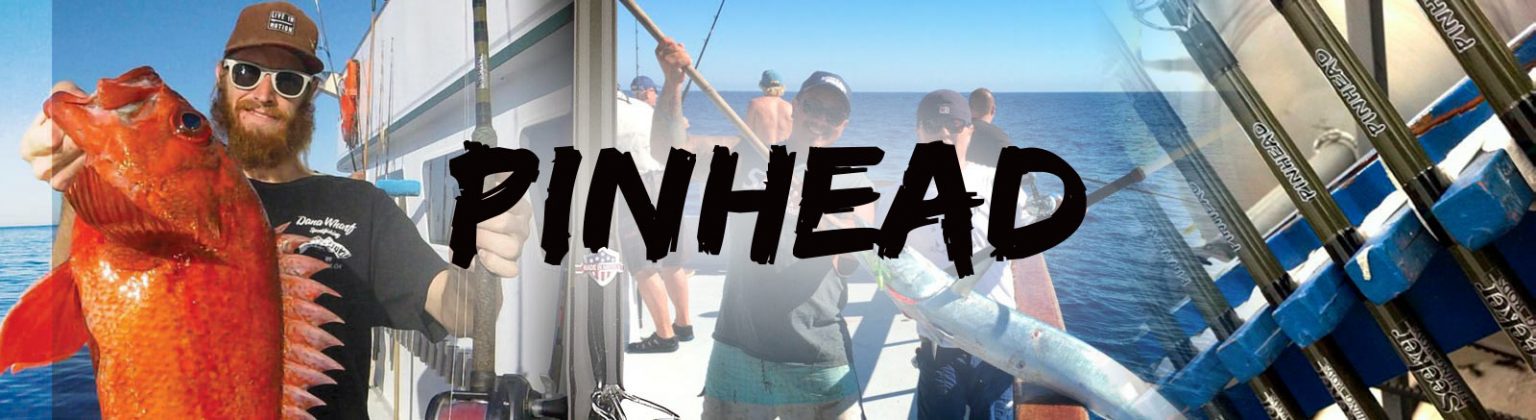 Pinhead – Seeker Rods – Fishing Rods